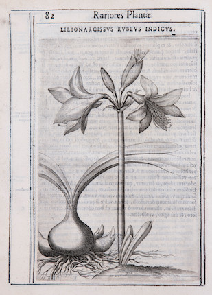 Bonhams : ALDINI (TOBIAS) and PIETRO CASTELLI Exactissima descriptio ...