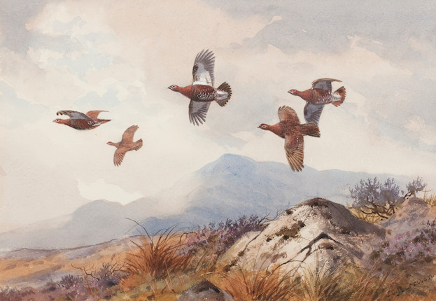 Bonhams : John Cyril Harrison (British, 1898-1985) Grouse (together ...