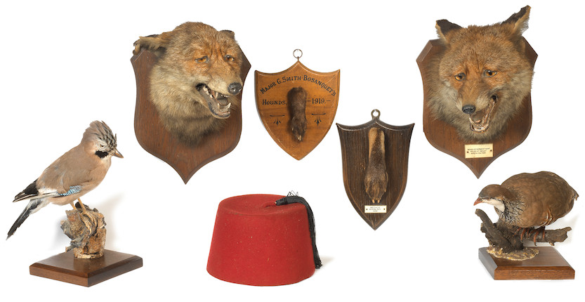 Bonhams : A collection of taxidermy mounted hunting trophies and birds (6)