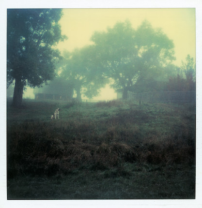 Bonhams : Andrey Tarkovsky (Russian, 1932-1986) A group of 9 Polaroid ...