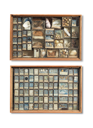 Bonhams : A pair of glazed specimen cases enclosing a collection of ...
