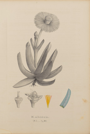 Bonhams : SALM-REIFFERSCHEIDT-DYCK (JOSEPH FURST VON) Monographia ...