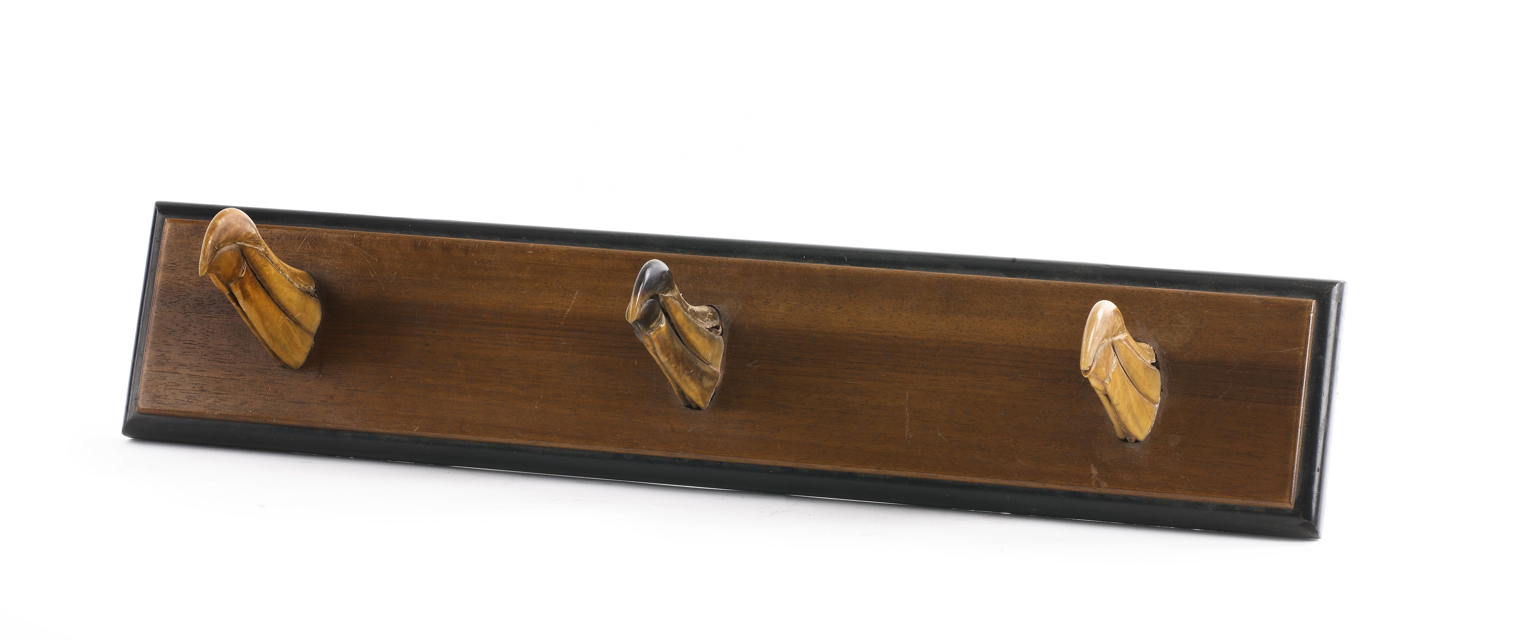 Bonhams : A sailor's-work albatross beak coat rack, 19th century,