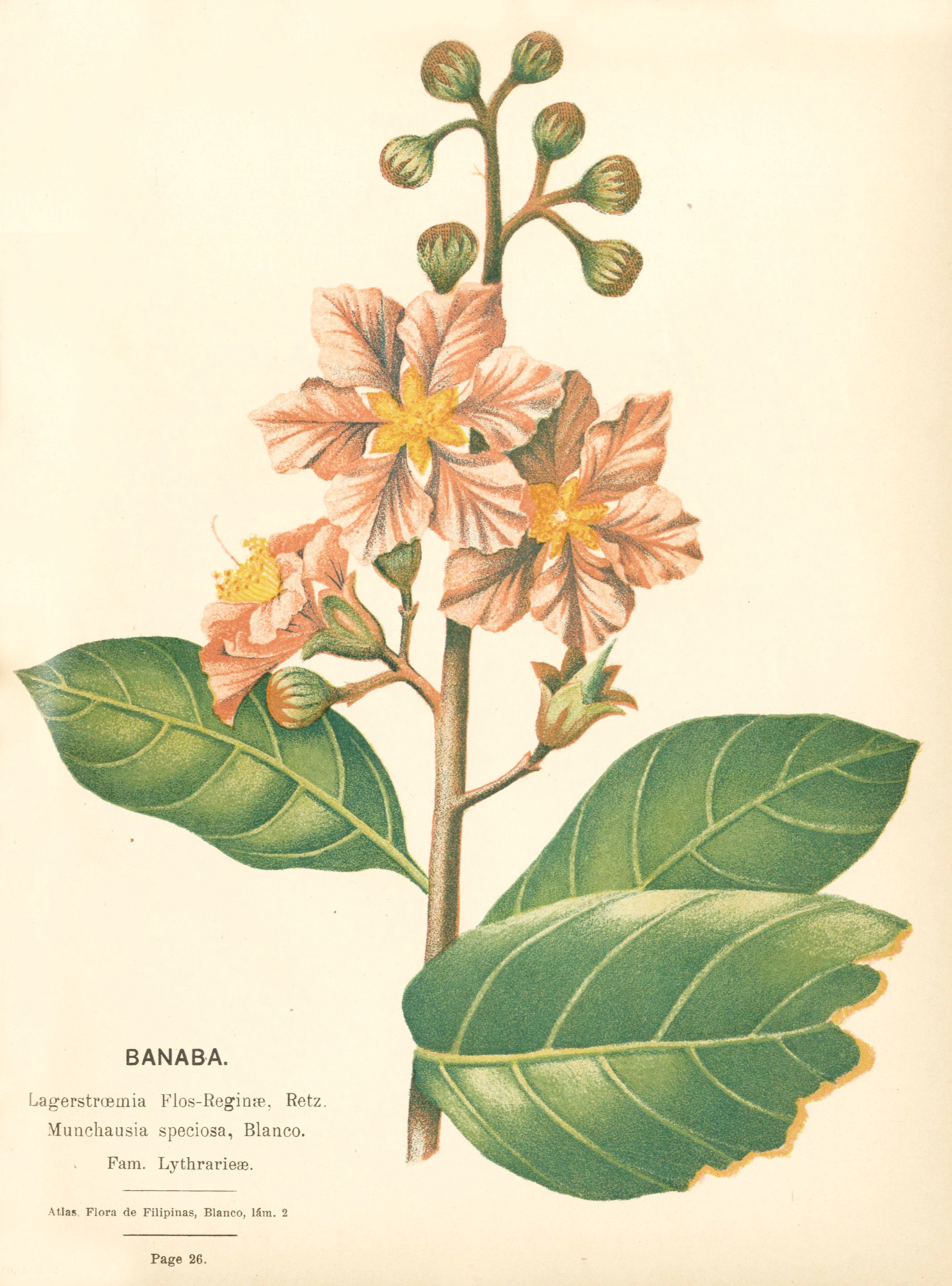 Bonhams : PHILIPPINES AHERN (GEORGE P., Captain, 9th US Infantry, 'In ...