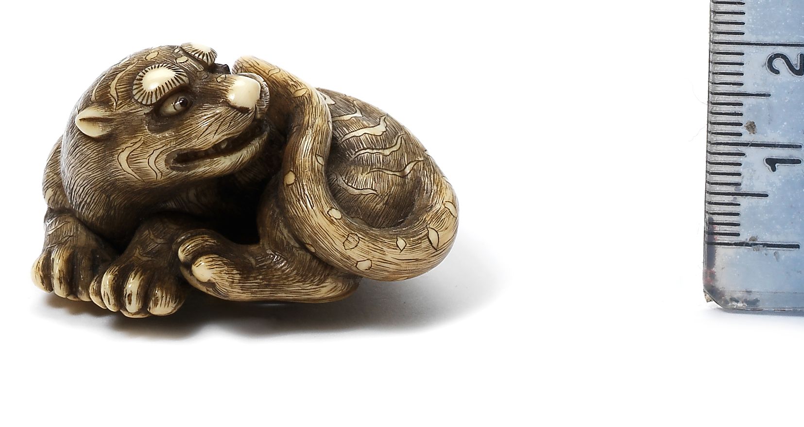 Bonhams : A small ivory netsuke of a tiger By Okakoto, Kyoto, early ...