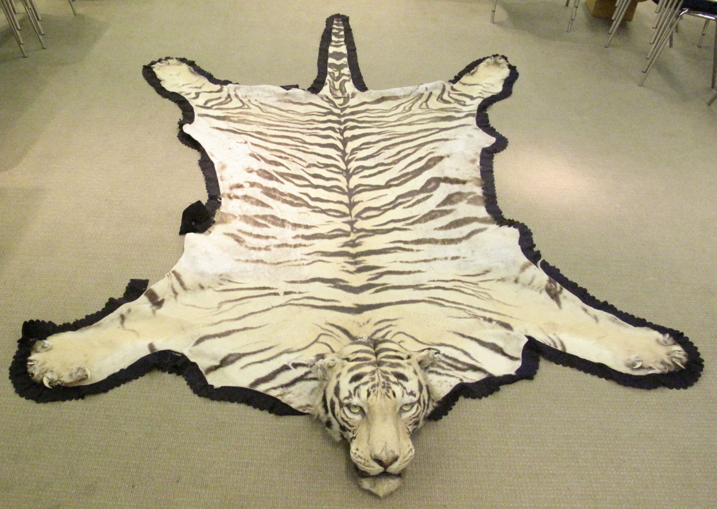 Bonhams : A large tiger skin with full mount headBy Van Ingen & Van ...