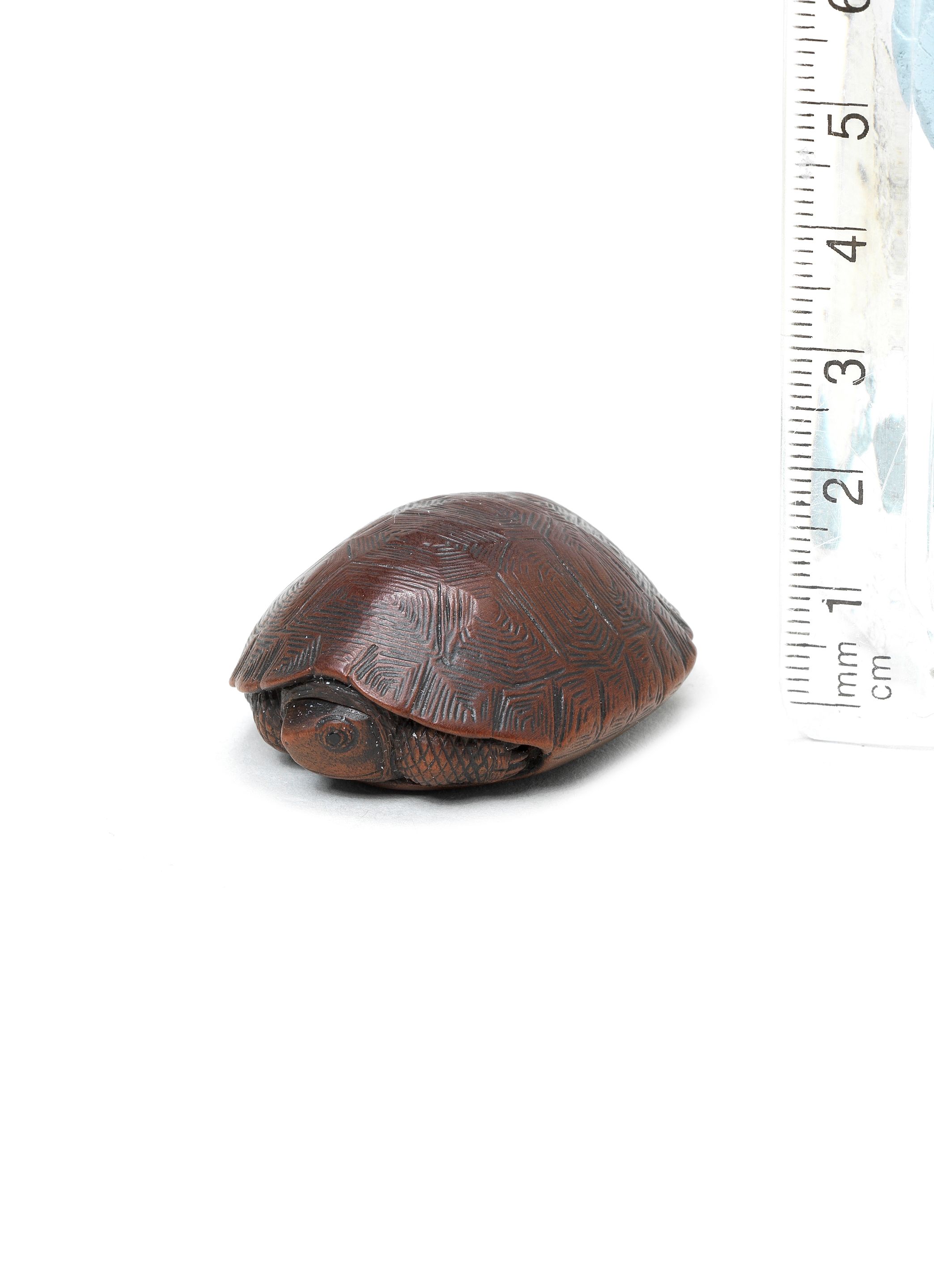 Bonhams : A wood netsuke of a turtle By Hogen Tadayoshi (c.1820-1870 ...