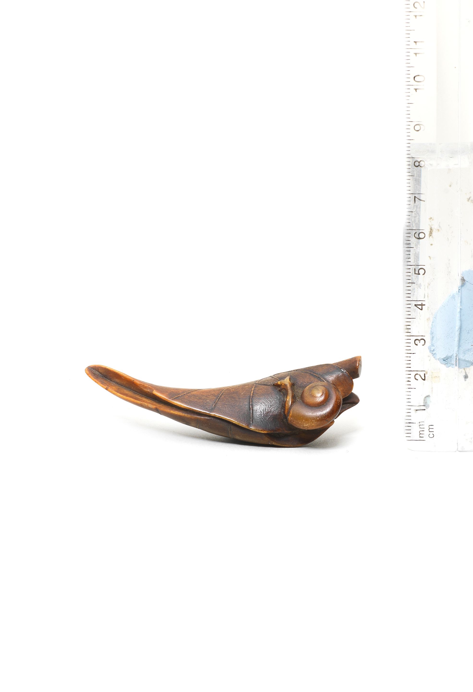 Bonhams : A buffalo-horn netsuke of a snail on a taro leaf By Kanman ...