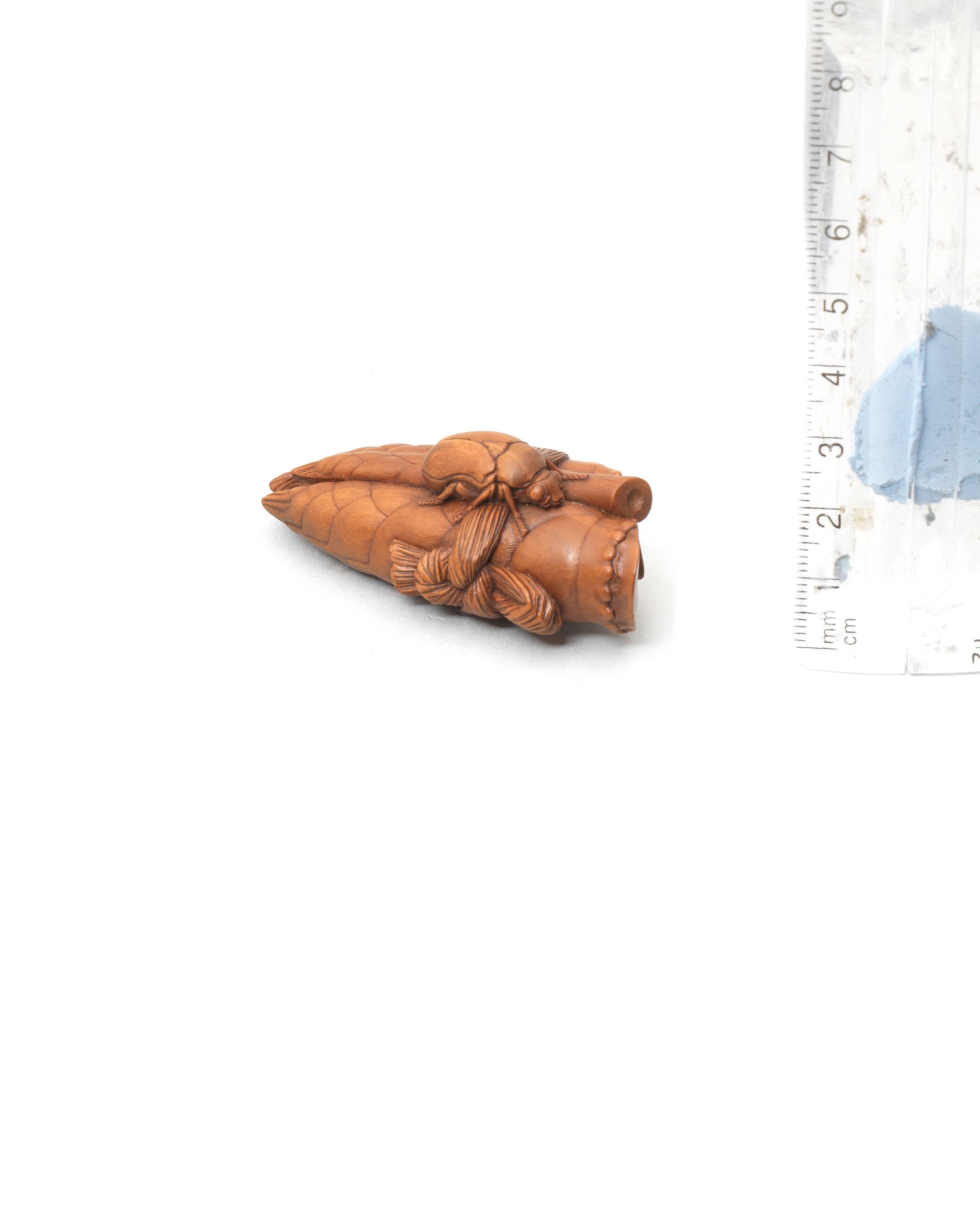 Bonhams : A boxwood netsuke of a beetle on bamboo shoots By Seiyodo ...