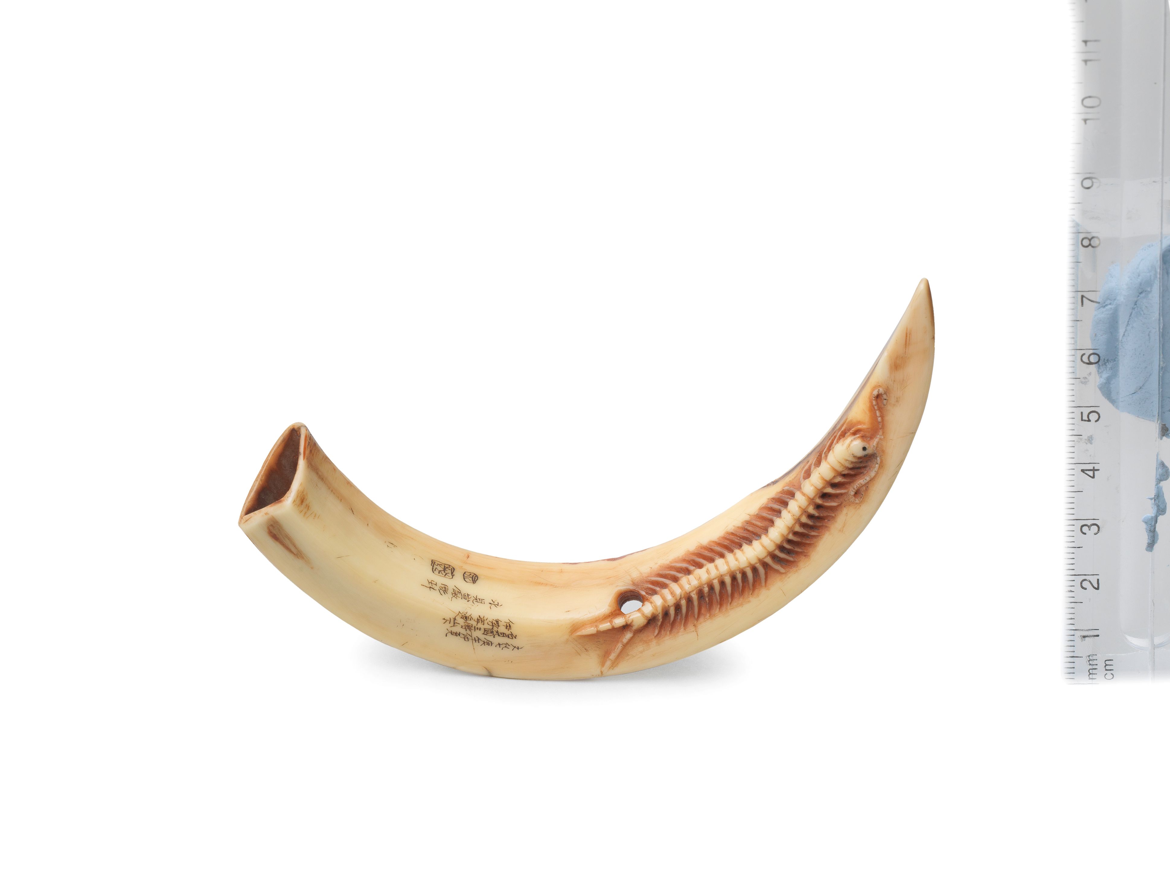 Bonhams : A large boar-tusk netsuke with a centipede by Nagami Iwao ...