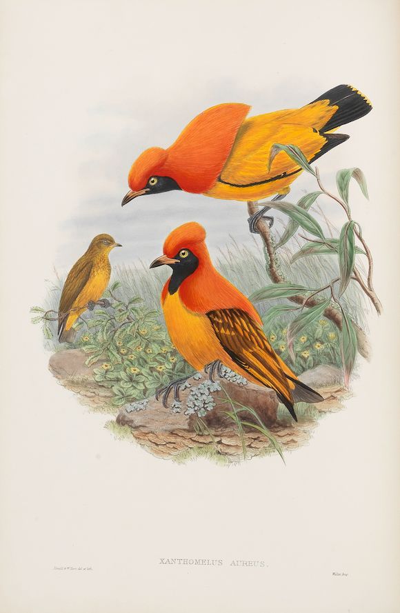 Bonhams : Fine Books and Manuscripts