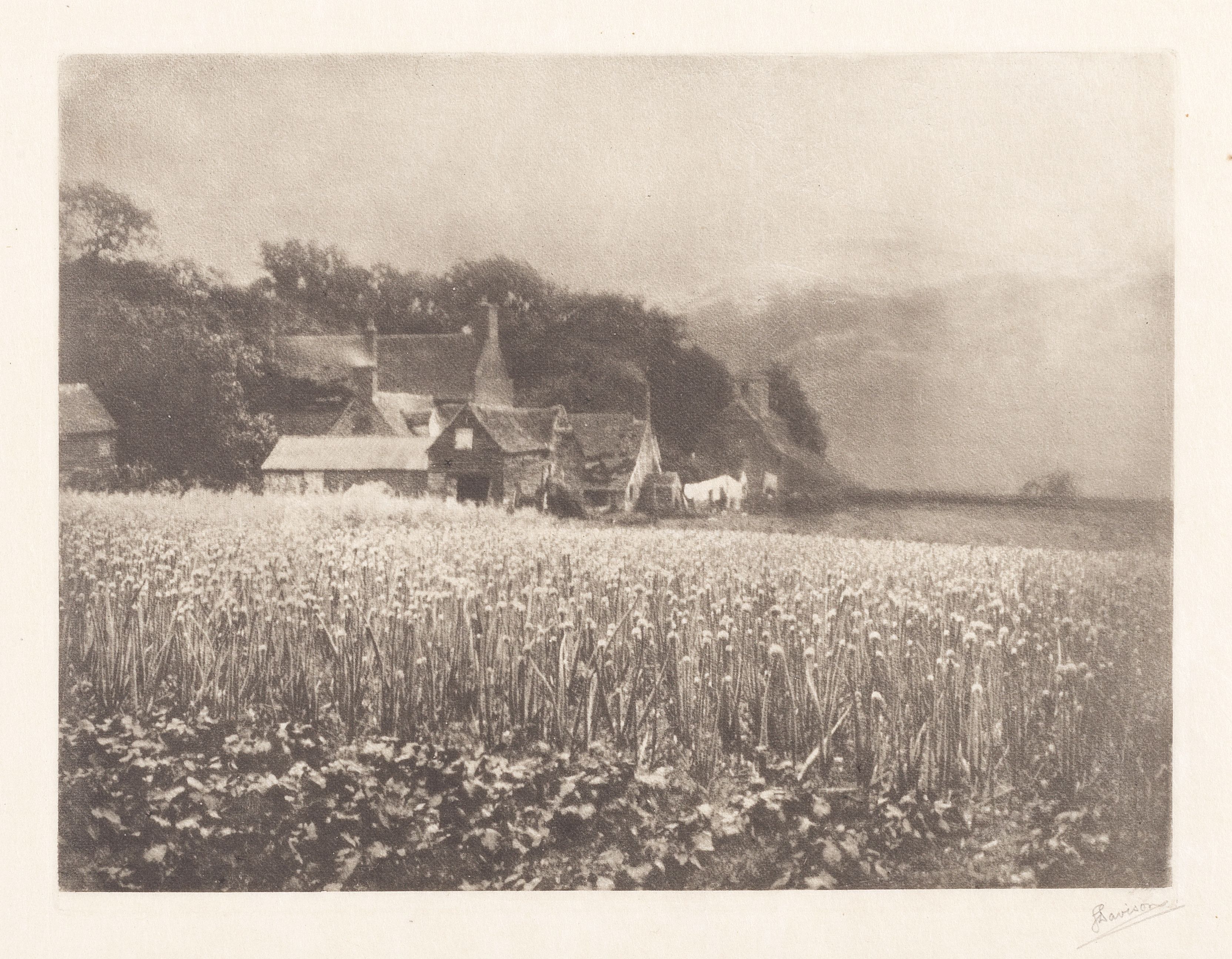 Bonhams : PHOTOGRAPHY - GEORGE DAVISON A group of 5 vintage ...