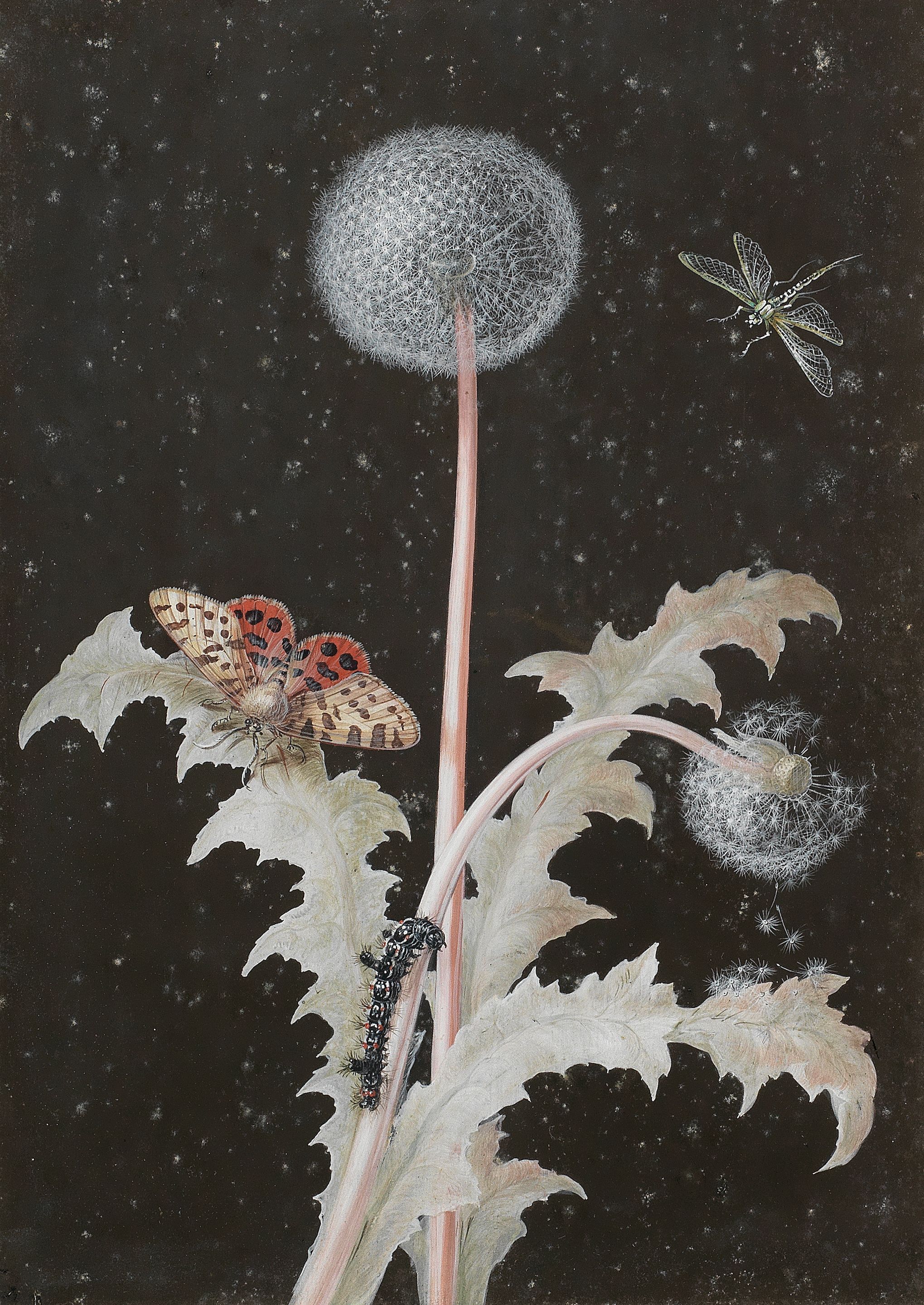 Bonhams : A Member of the Dietzsch Family (active Germany, 18th Century ...