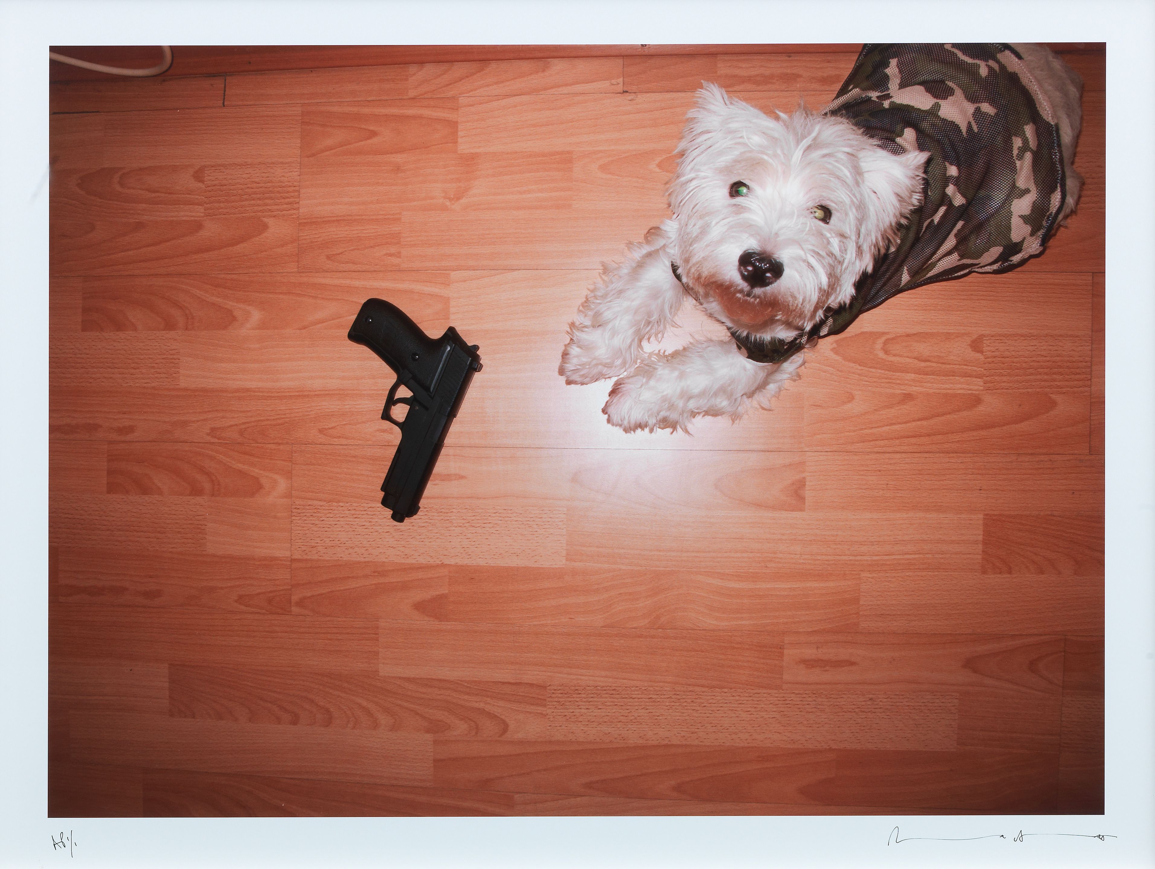 Bonhams : Richard Ansett (British, born 1966); Dog in Camo with Gun ...