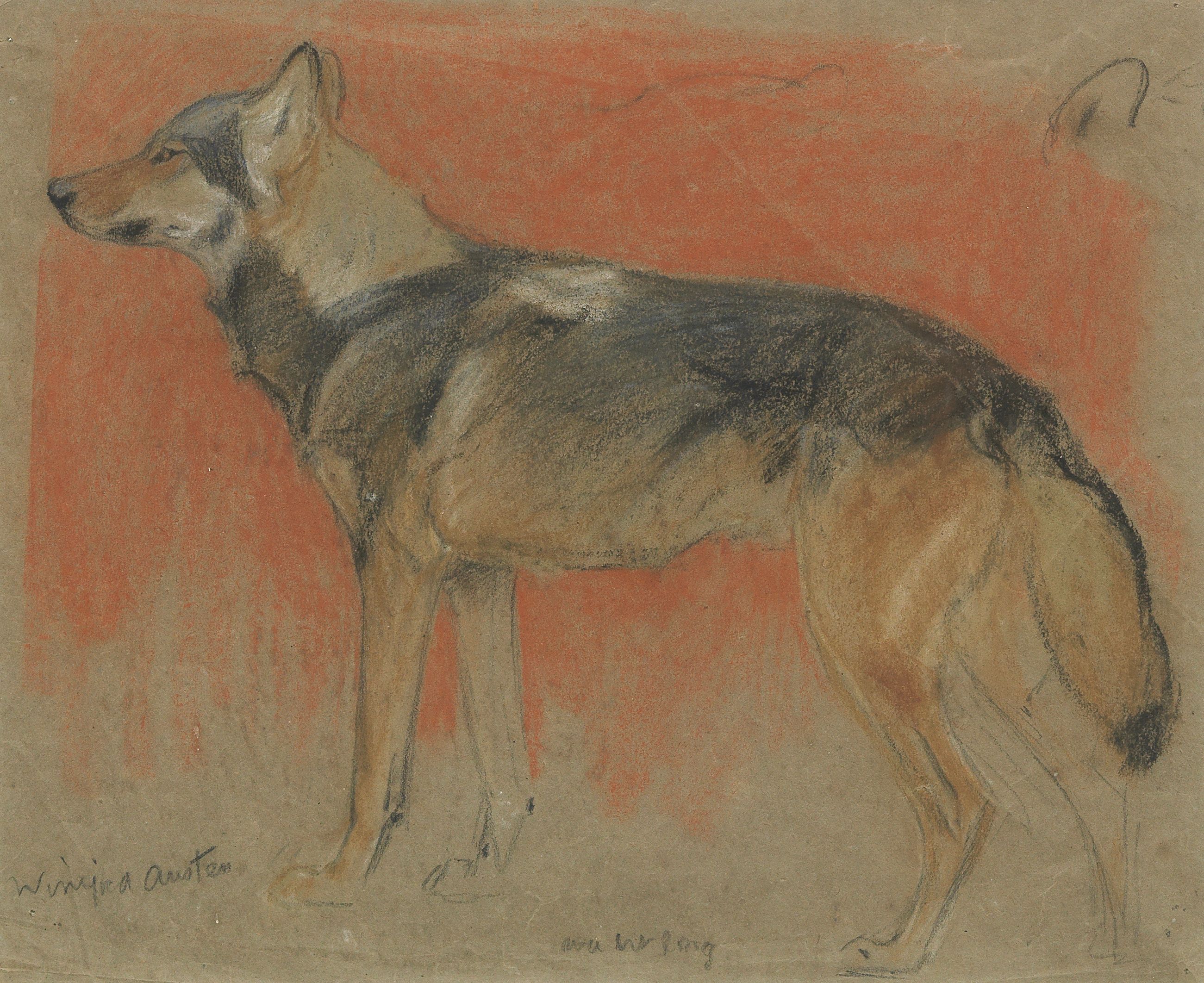 Bonhams : Winifred Austen (British, 1876-1964) Study of a wolf