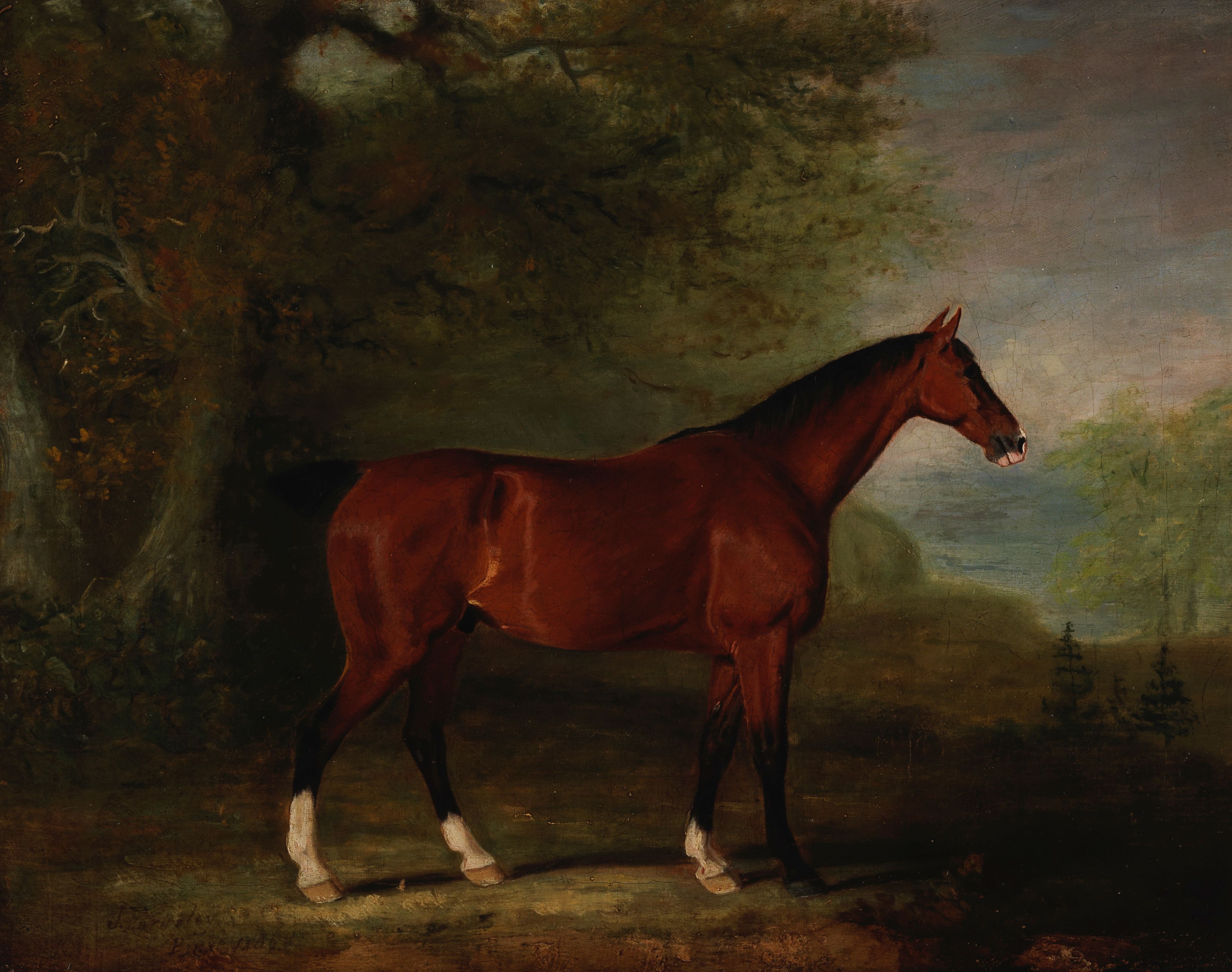 Bonhams : John Ferneley Senior (British, 1782-1860) A chestnut hunter ...