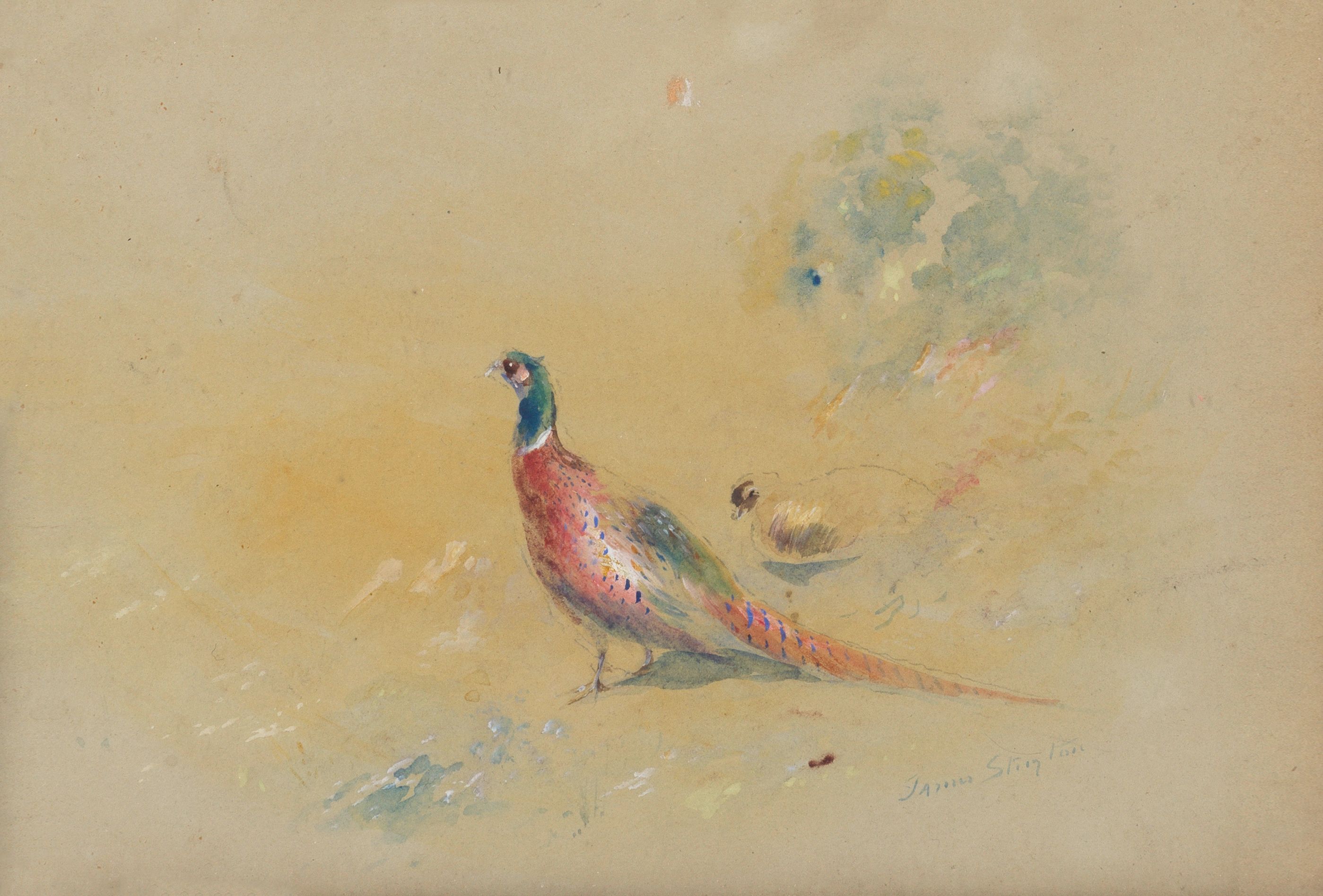 Bonhams : James Stinton (British, 1870-1961) Pheasant and grouse
